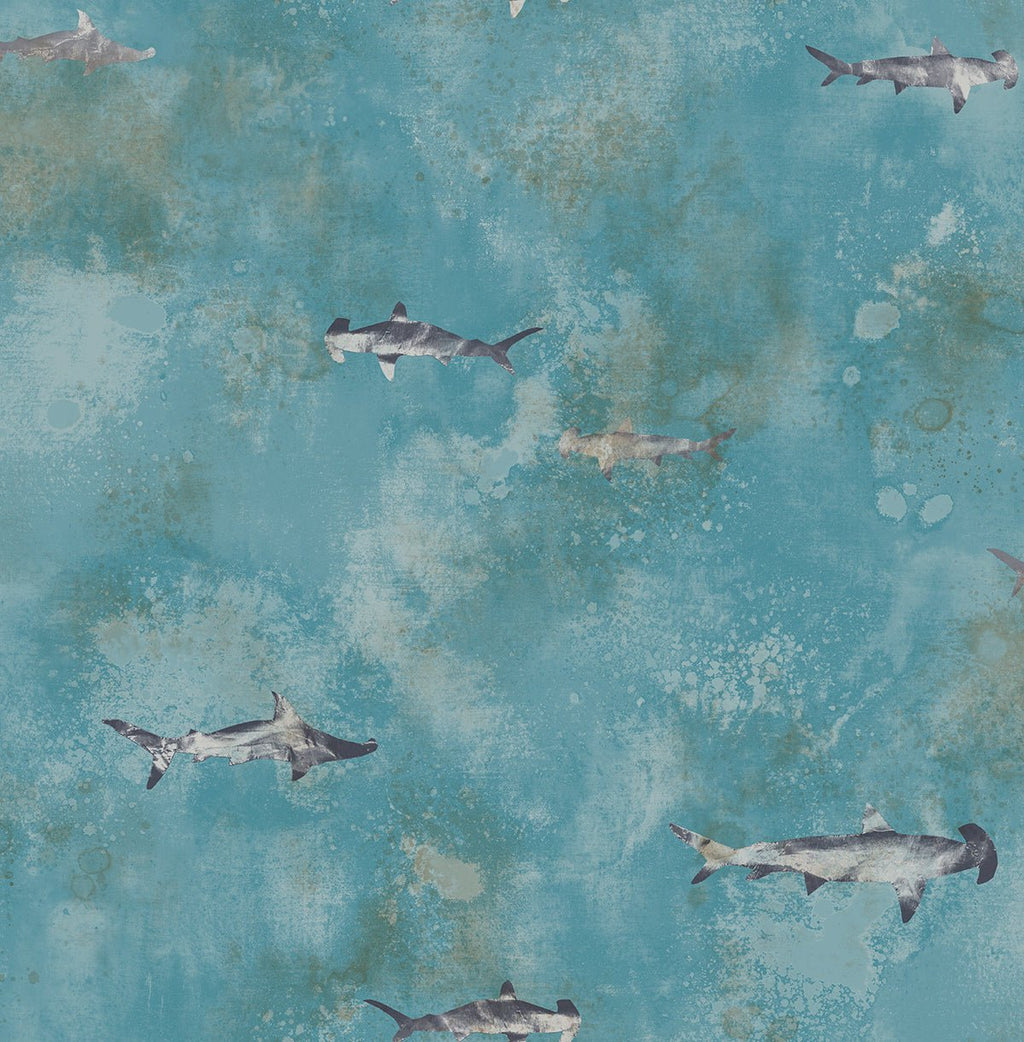 Shark Wallpaper | Hand-Drawn Hammerheads in Soft Watercolor – Mayflower ...